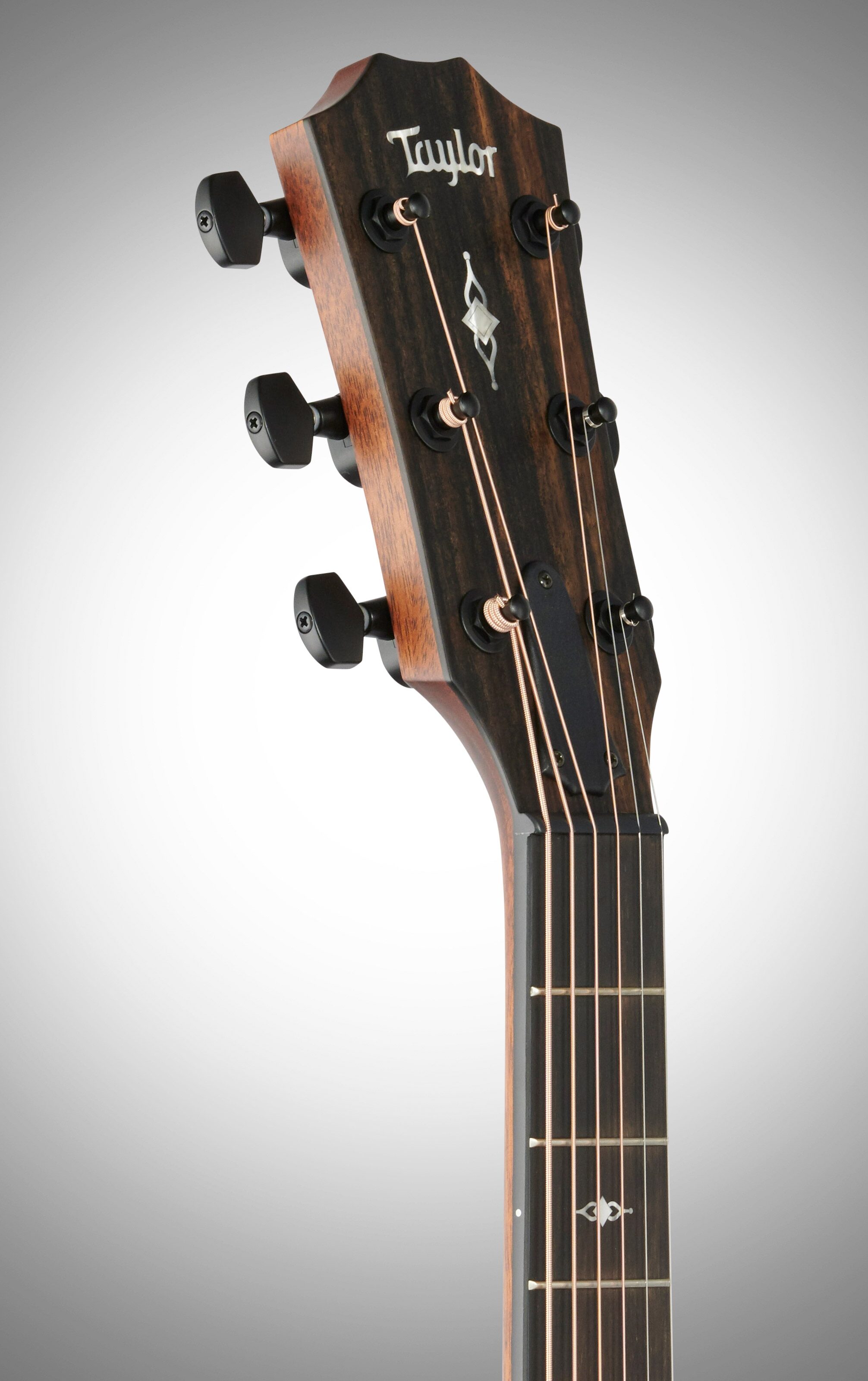 Taylor 322ce Grand Concert Acoustic-Electric Guitar | zZounds
