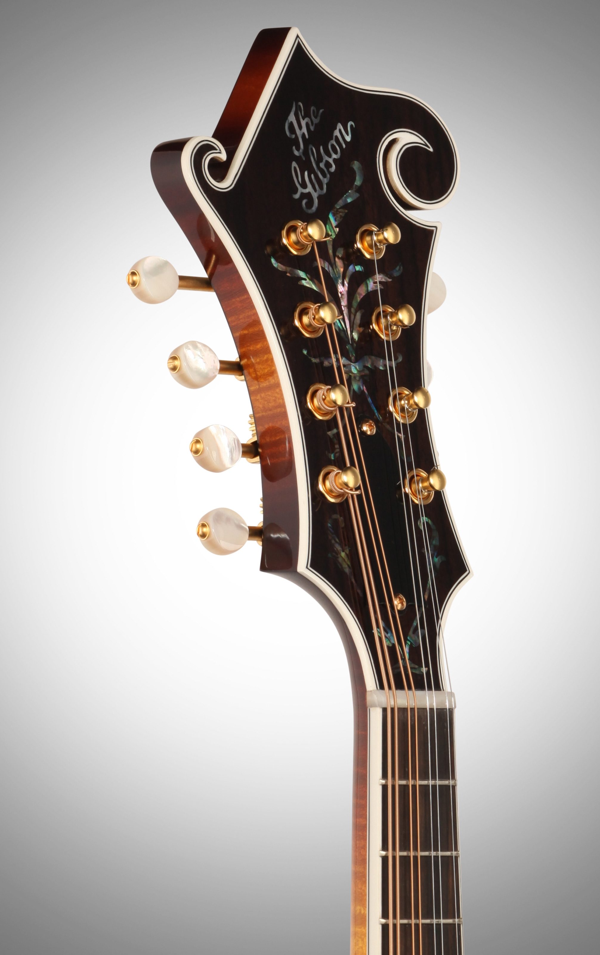 Gibson Custom F-5L The Fern Mandolin (with Case) | zZounds