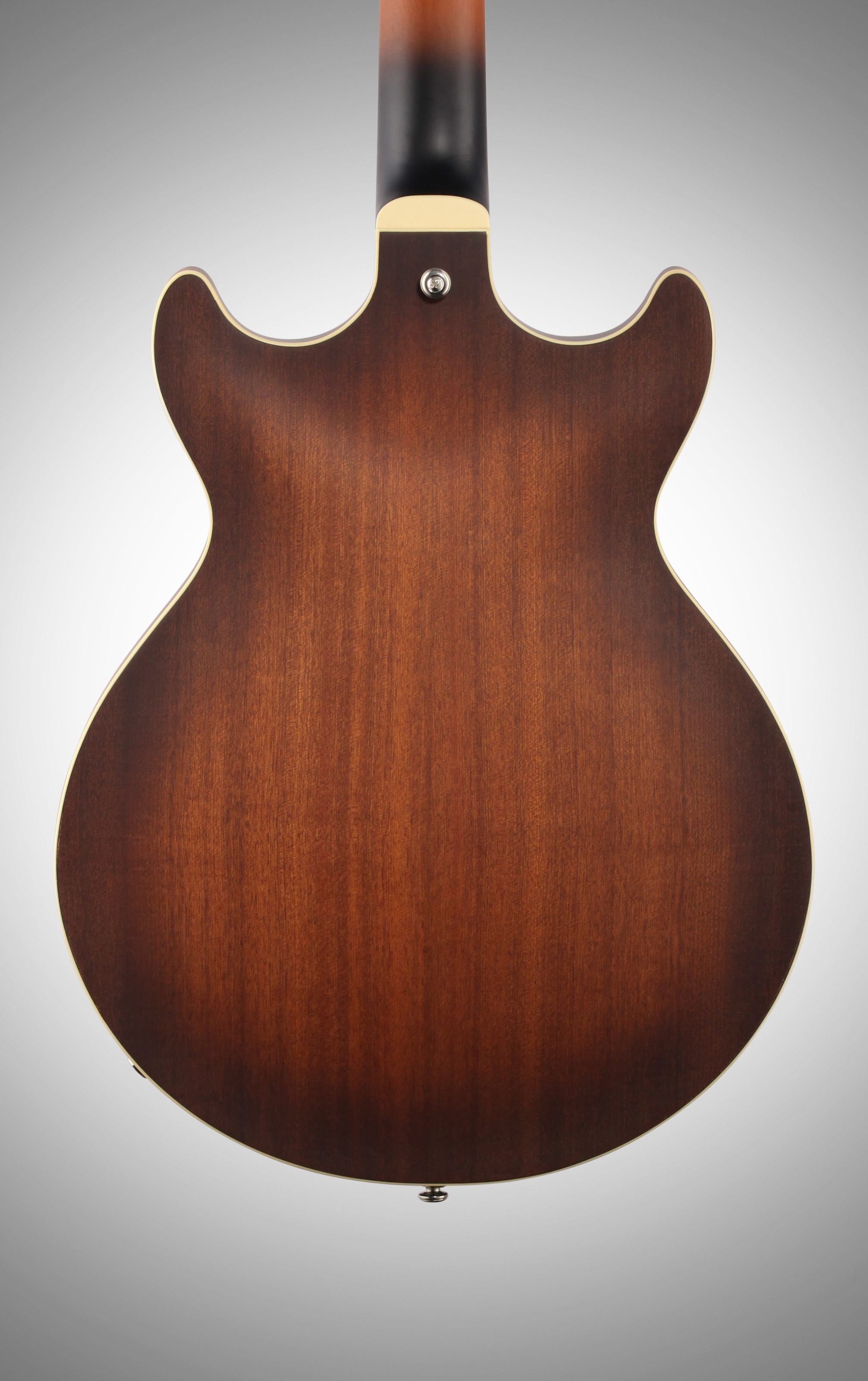 Ibanez AM53 Artcore Semi-Hollowbody Electric Guitar | zZounds