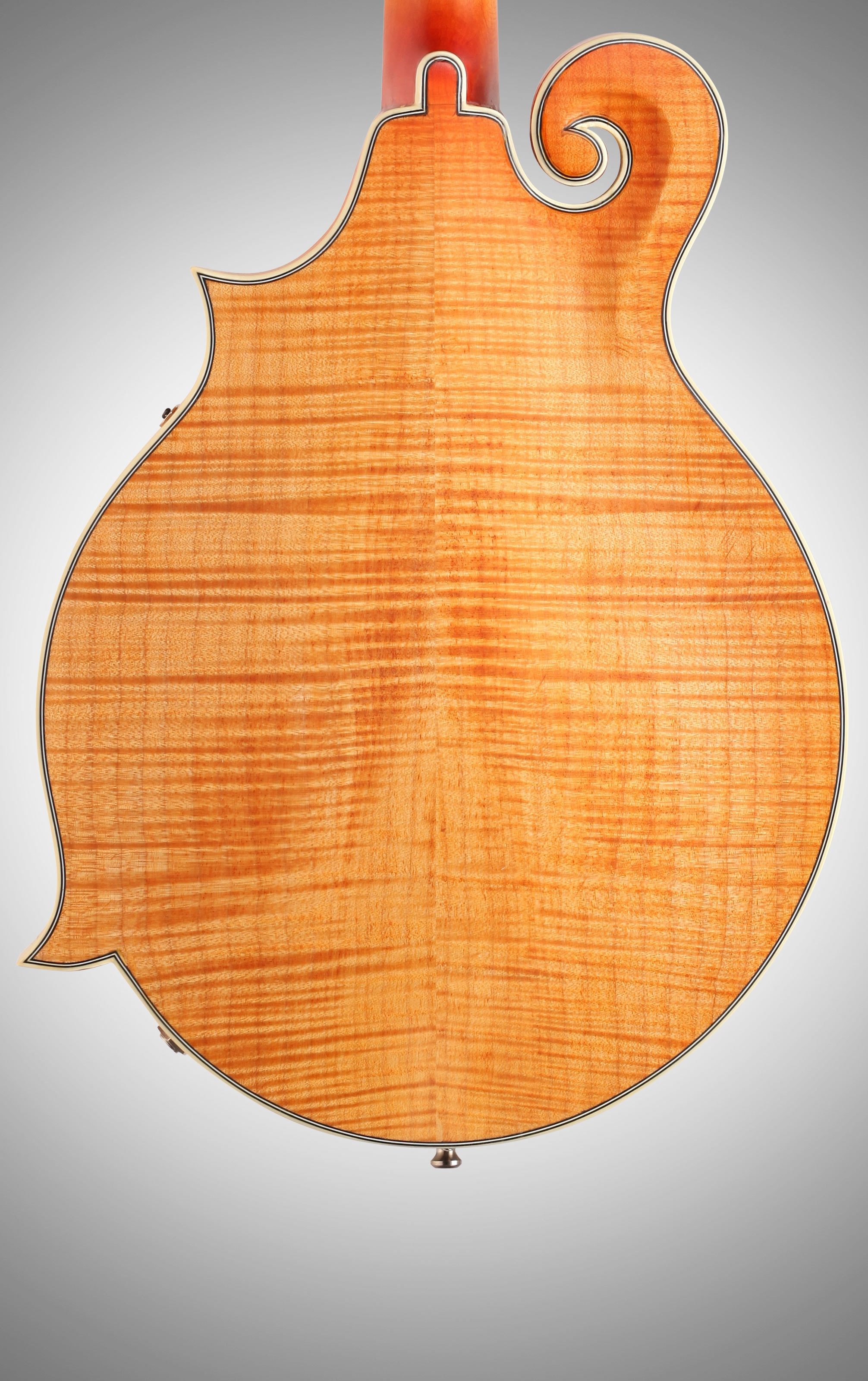 Epiphone MM-50E F-Style Mandolin | zZounds