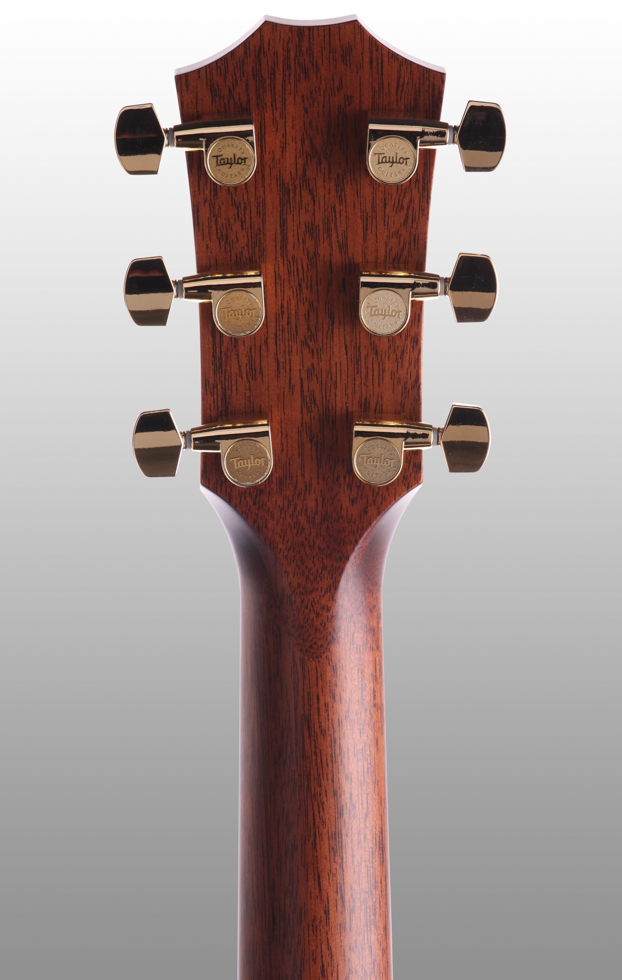 Taylor 510ce Dreadnought Cutaway Acoustic-Electric Guitar