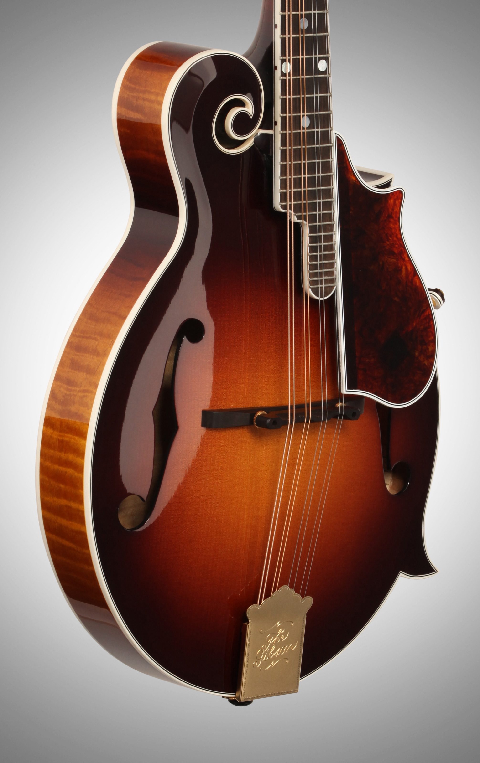 Gibson Custom F-5L The Fern Mandolin (with Case) | zZounds