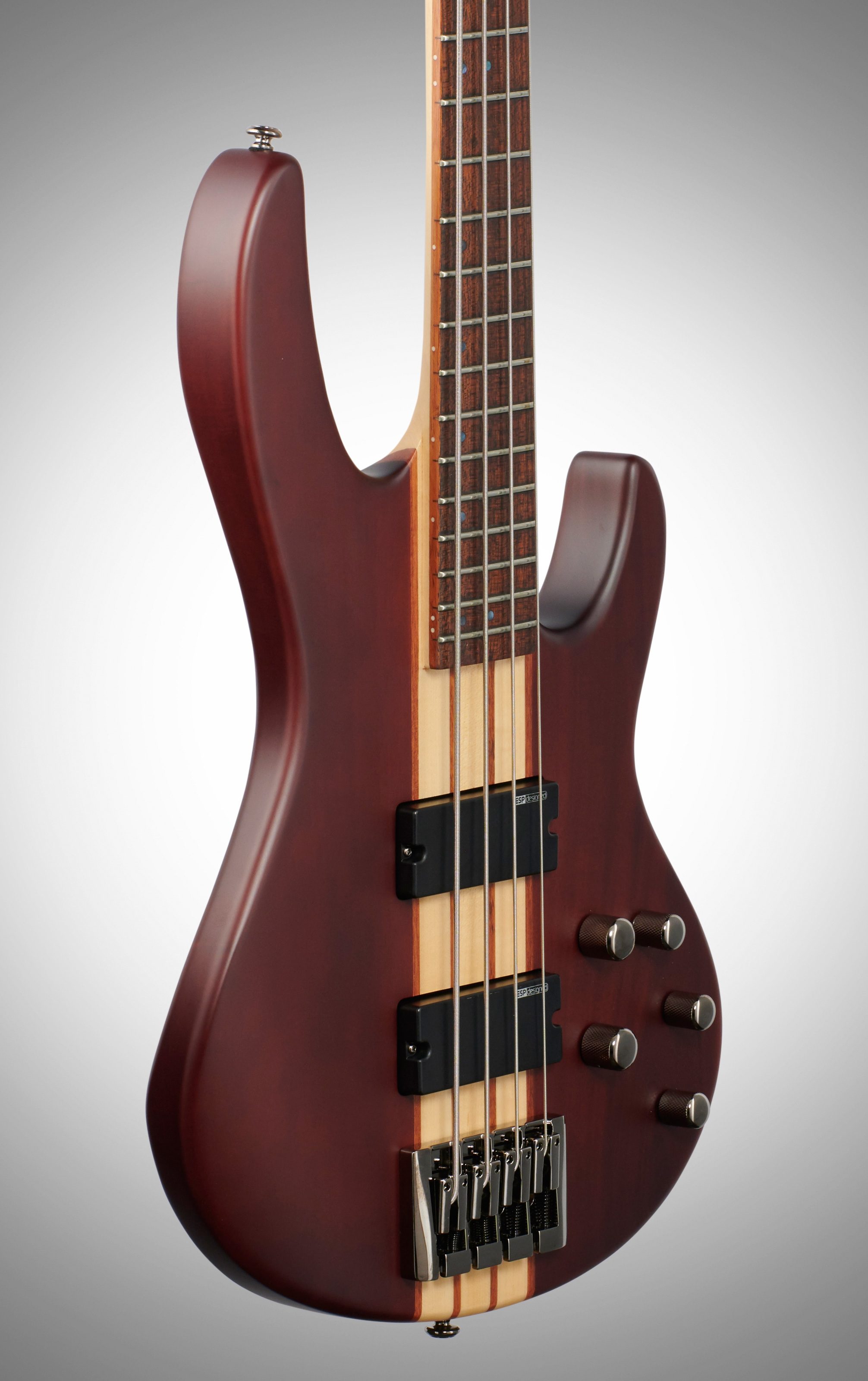 ESP LTD D-4 Electric Bass w Merbau Body | zZounds